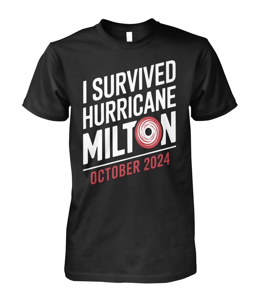 I Survived Hurricane Milton T Shirt Viralstyle